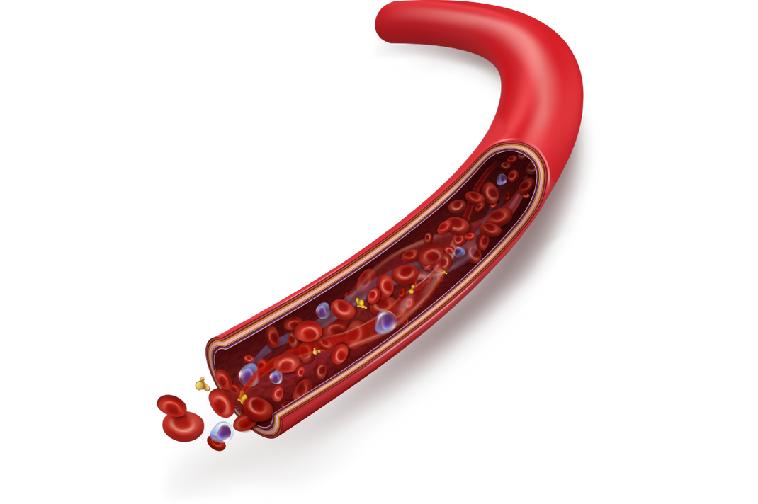 Hydrogen Oxygen Therapy – Ten Plus Wellness